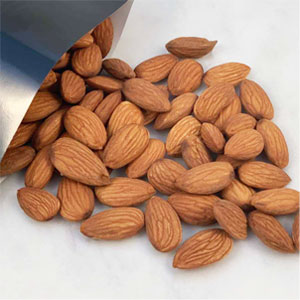 Premium Almond Nuts in Salt Lake City – Western Nut Company Inc.